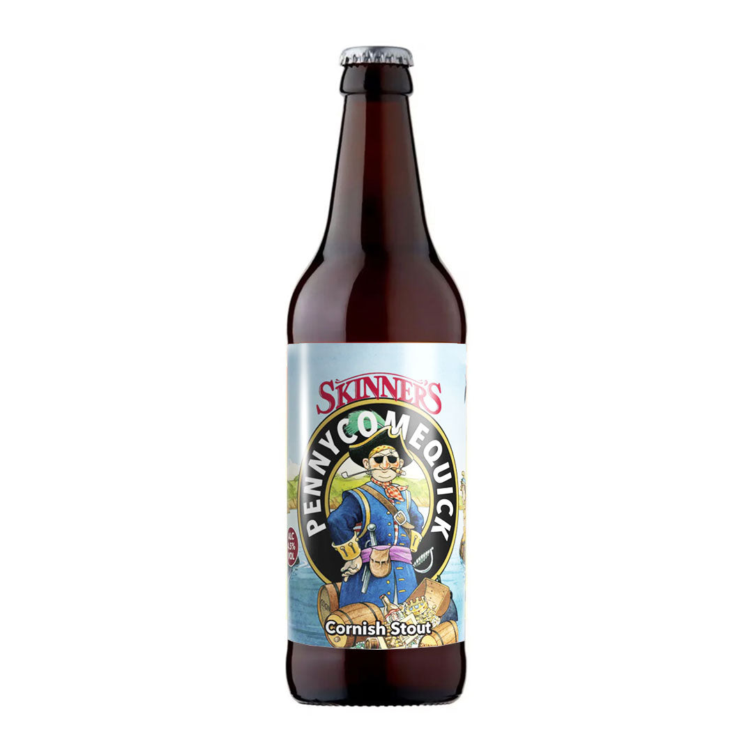 Skinner's Penny Come Quick 500ml – Drink Finder